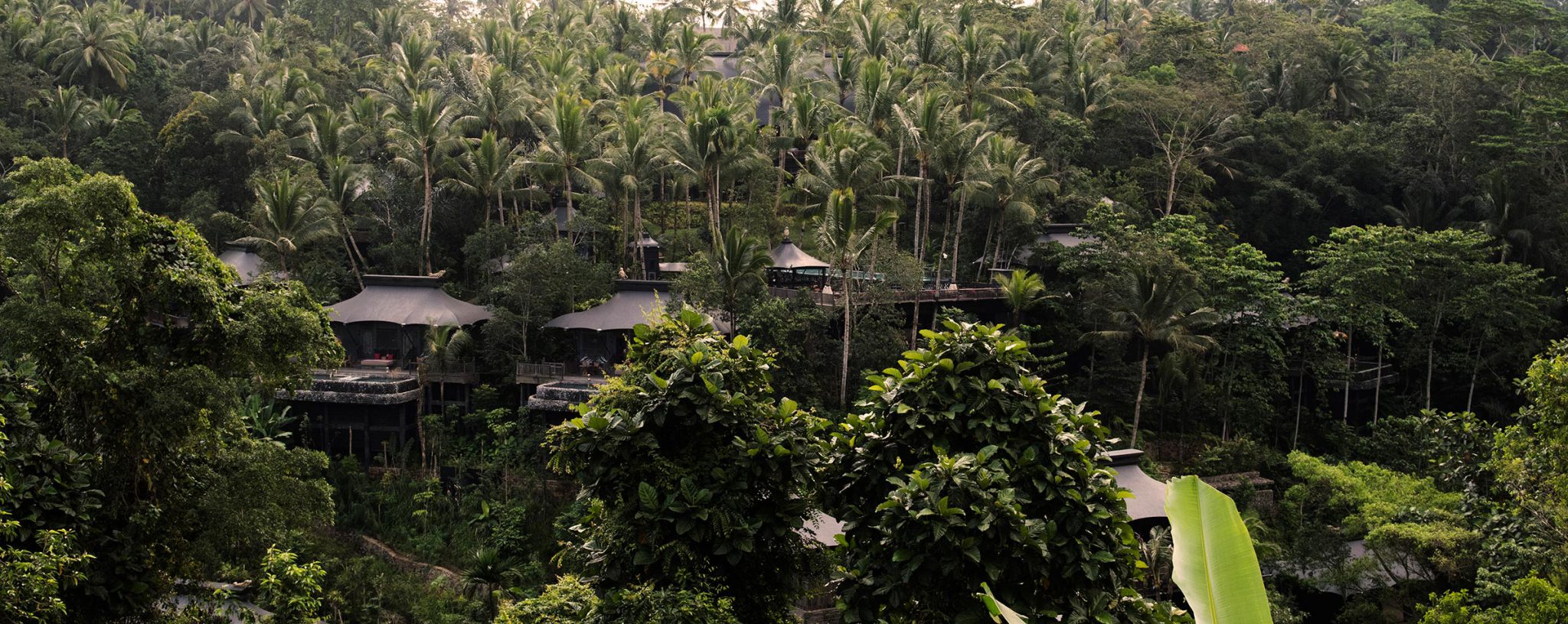 Capella Ubud – BENSLEY