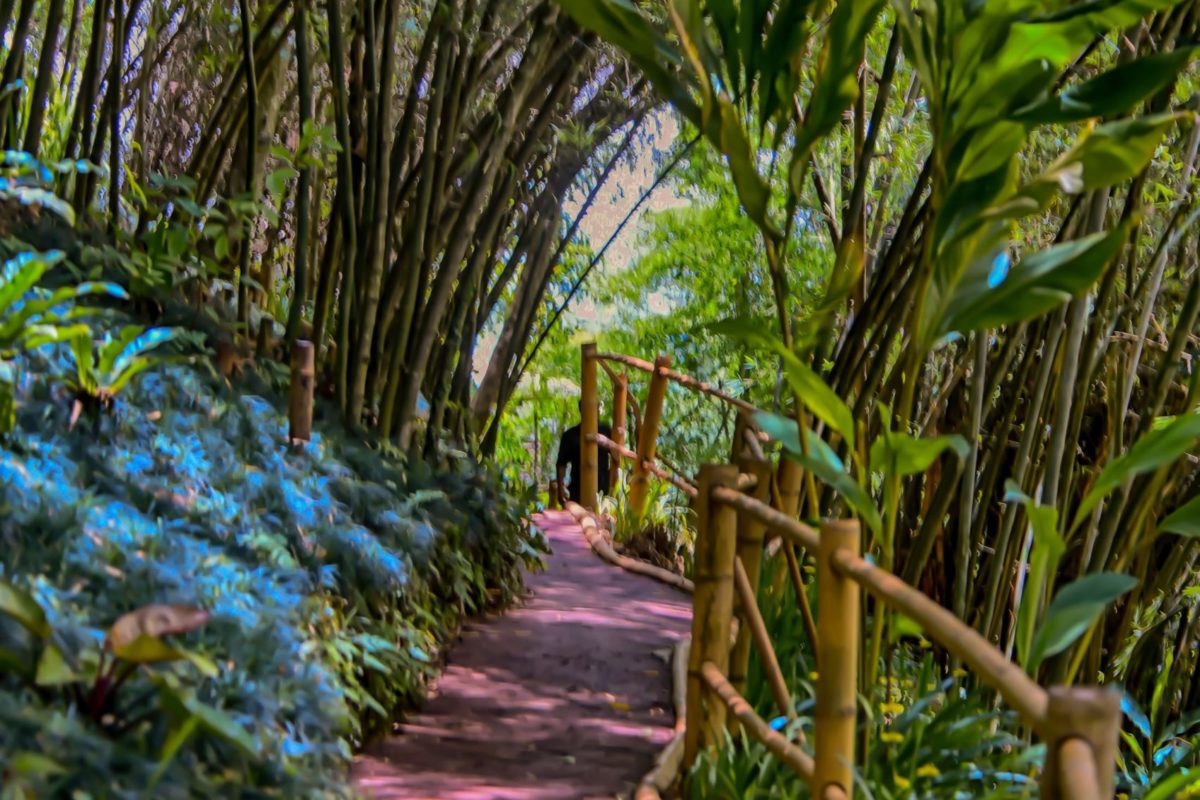 Four Seasons Tented Camp Chiang Rai - BENSLEY