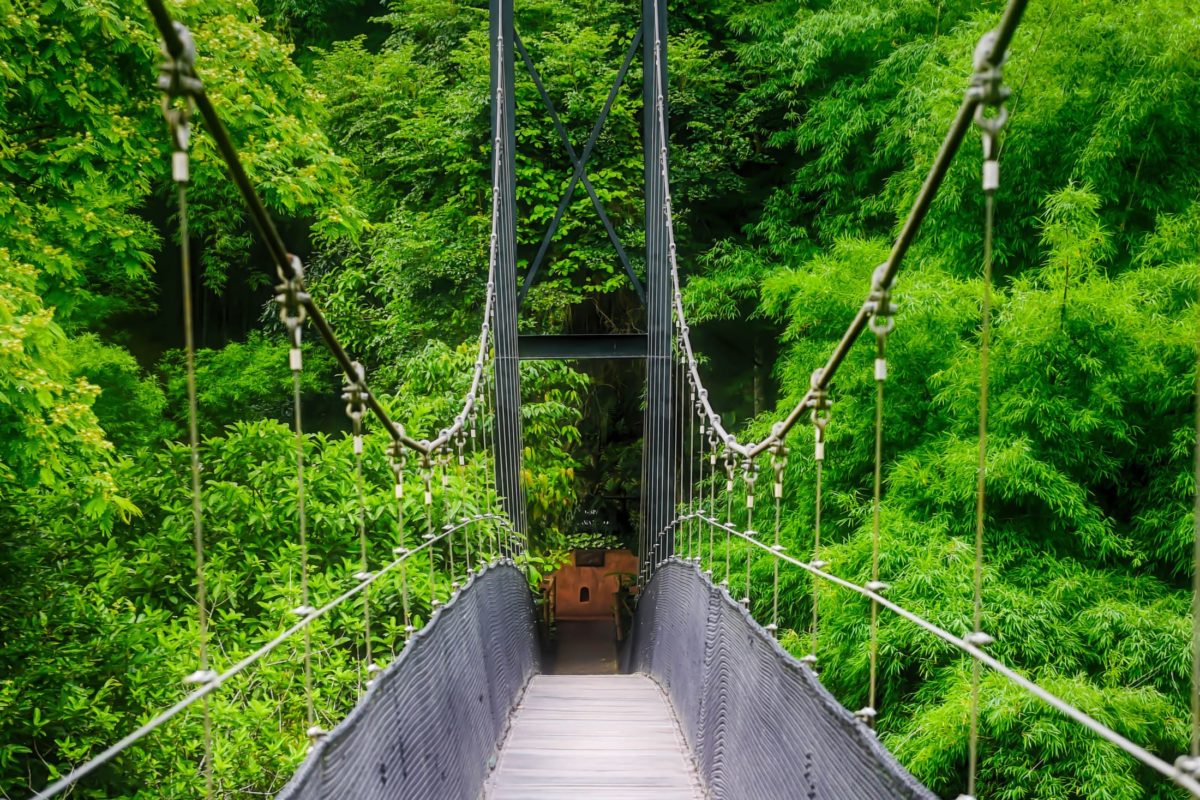 Four Seasons Tented Camp Chiang Rai - BENSLEY